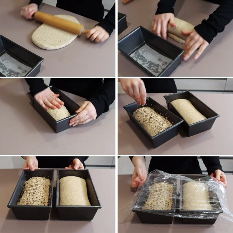 Easy Whole Wheat Bread Recipe